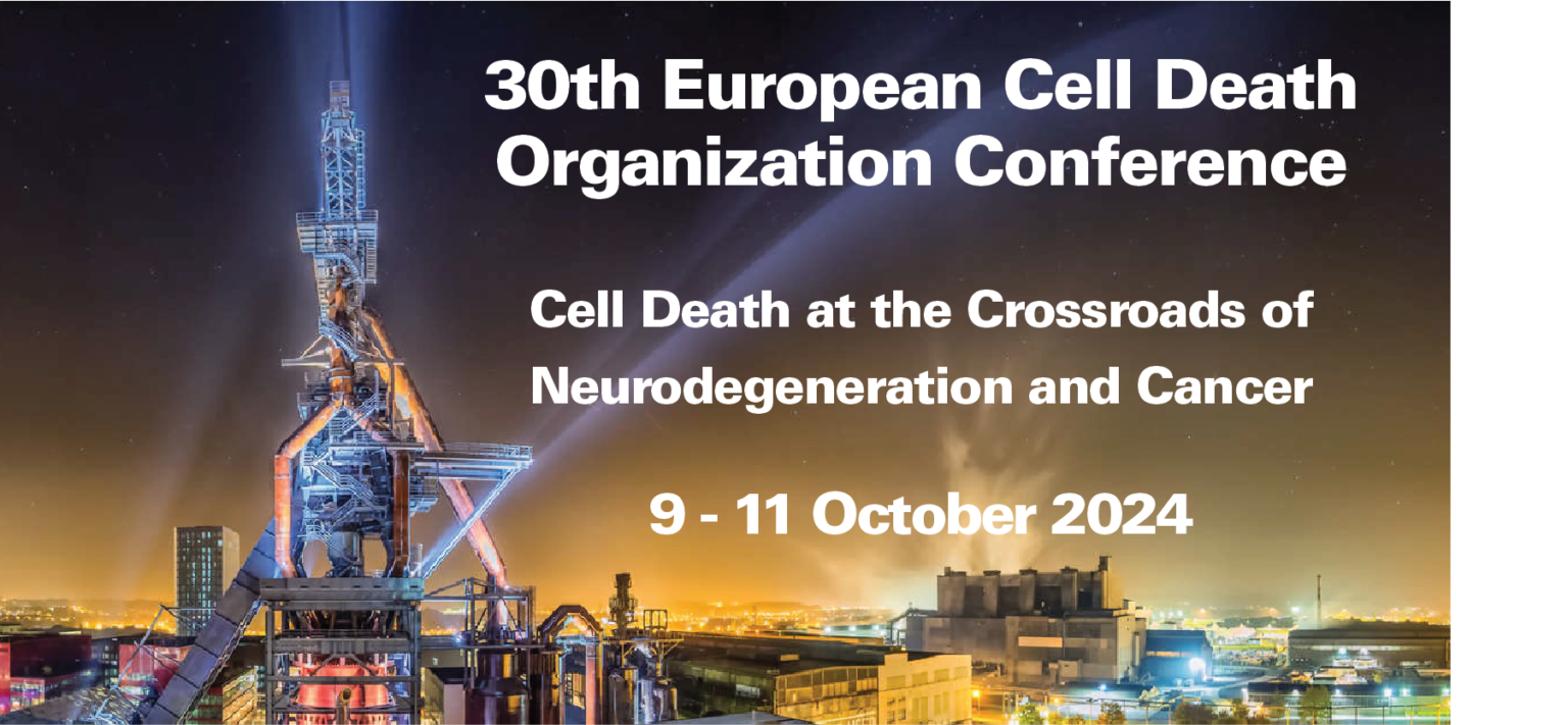 ECDO conference 2024 – ECDO conference 2024